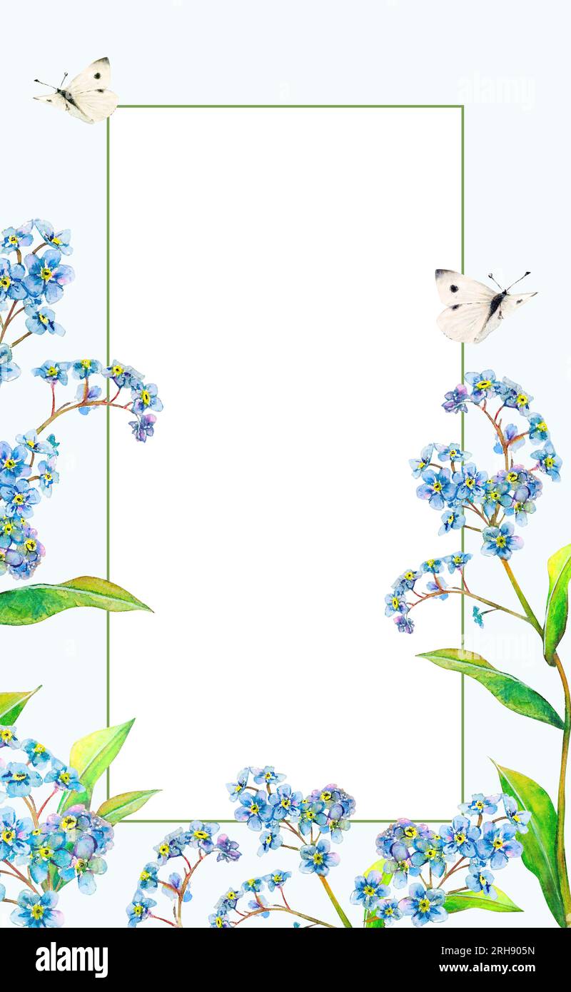 Field forget-me-not watercolor rectangle frame from delicate flowers ...