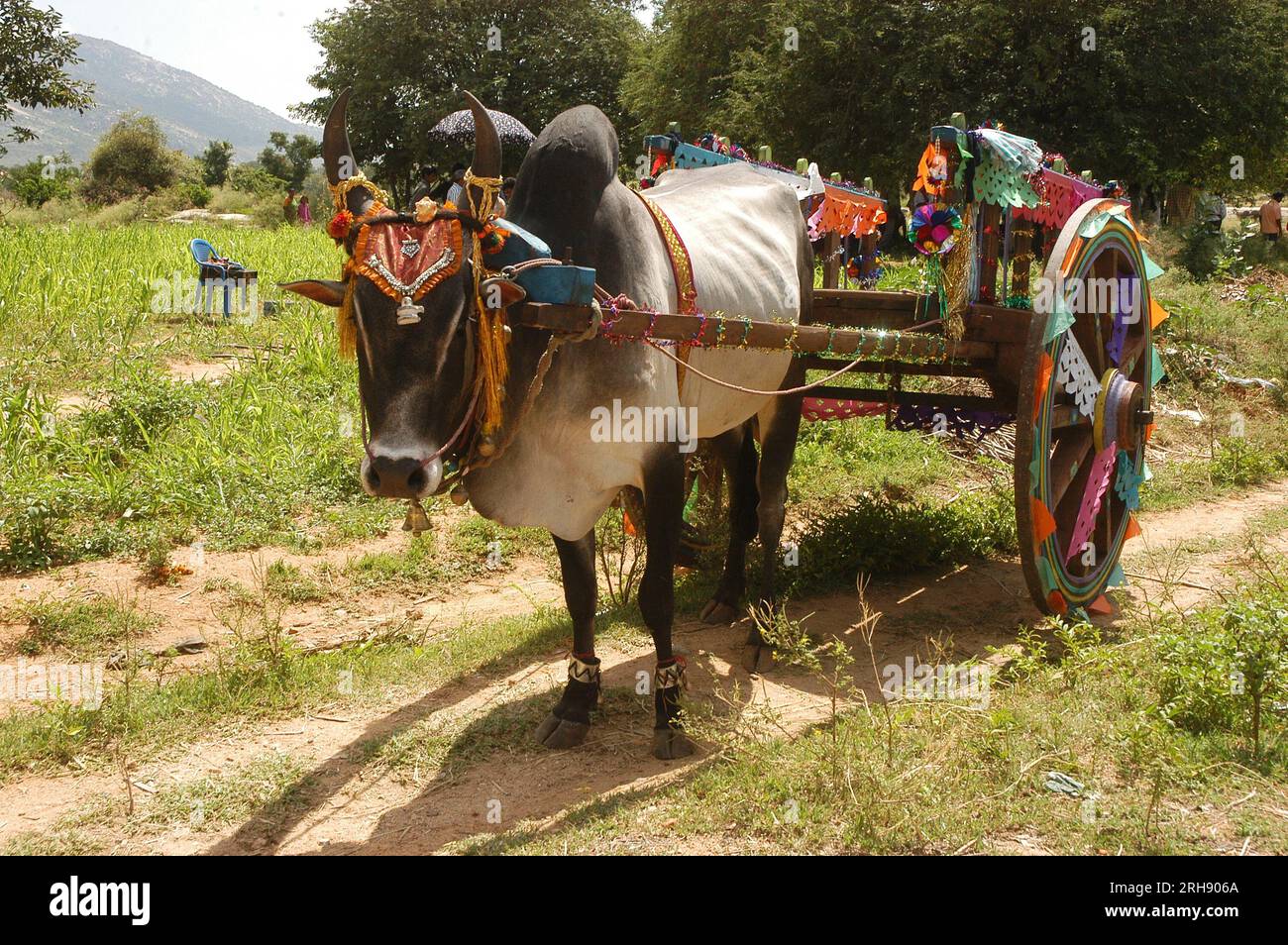 Bull cart at rural house India Stock Photo - Alamy