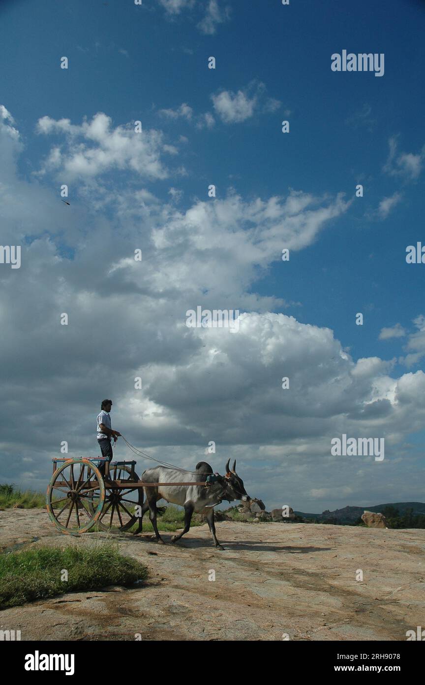 Bull cart at rural house India Stock Photo - Alamy