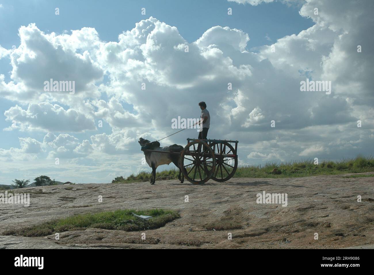 Bull cart at rural house India Stock Photo - Alamy