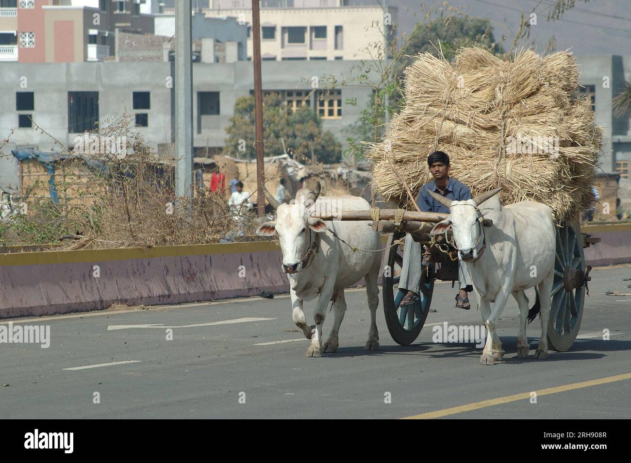 Bull cart at rural house India Stock Photo - Alamy