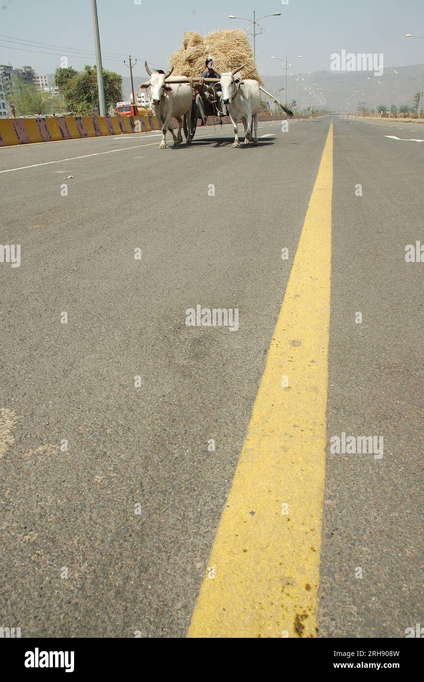 Bull cart at rural house India Stock Photo - Alamy