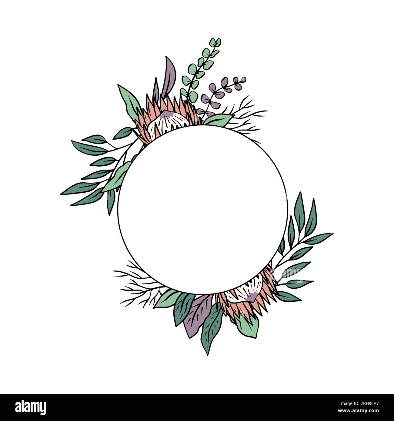 Hand drawn colorful line art tropical protea flower round frame Stock ...