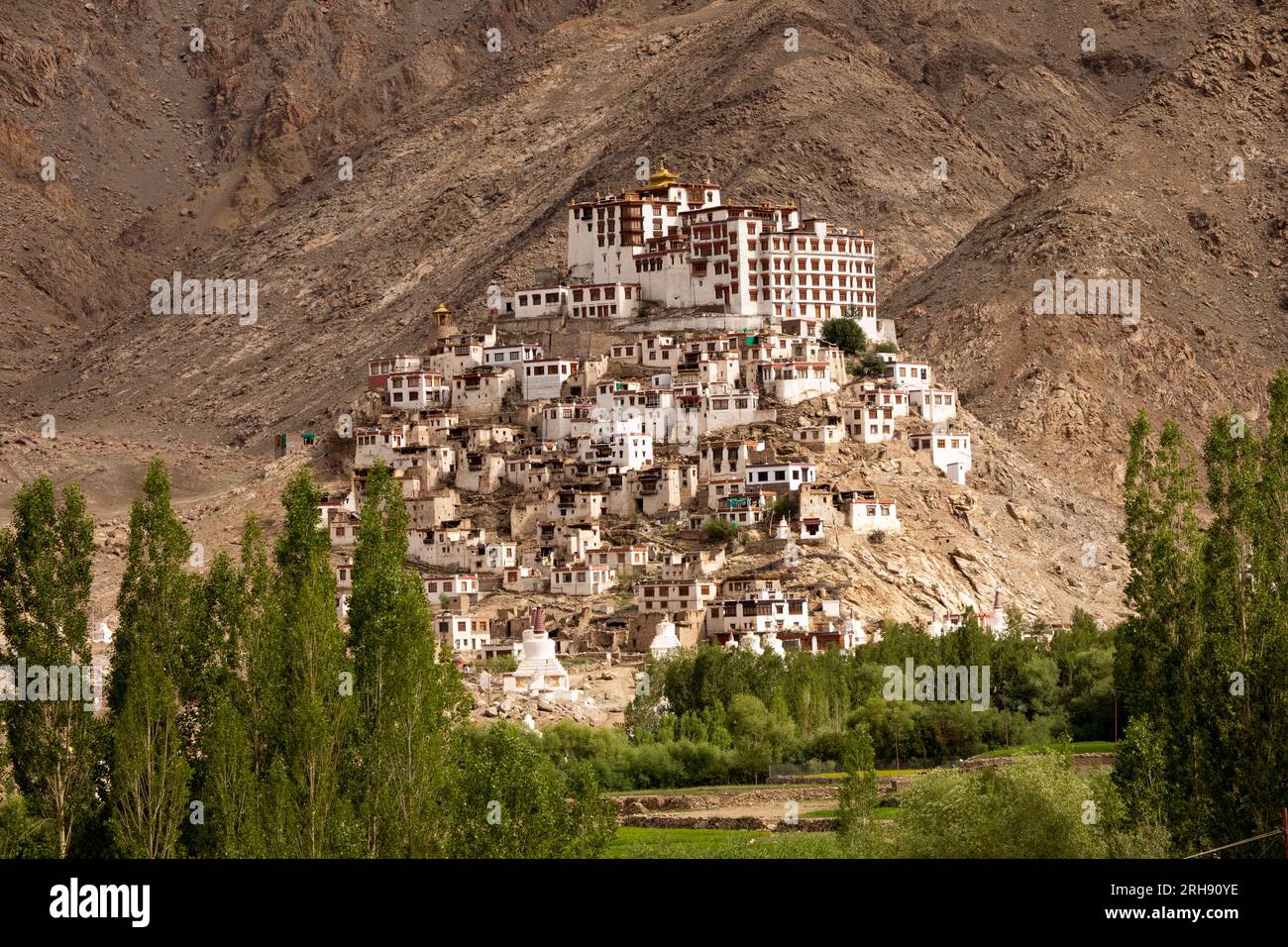 Chemrey gompa hi-res stock photography and images - Alamy