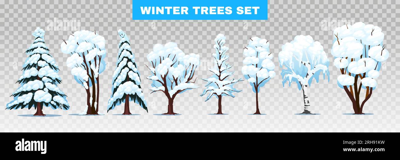 Winter trees of deciduous and coniferous species with snow covered ...