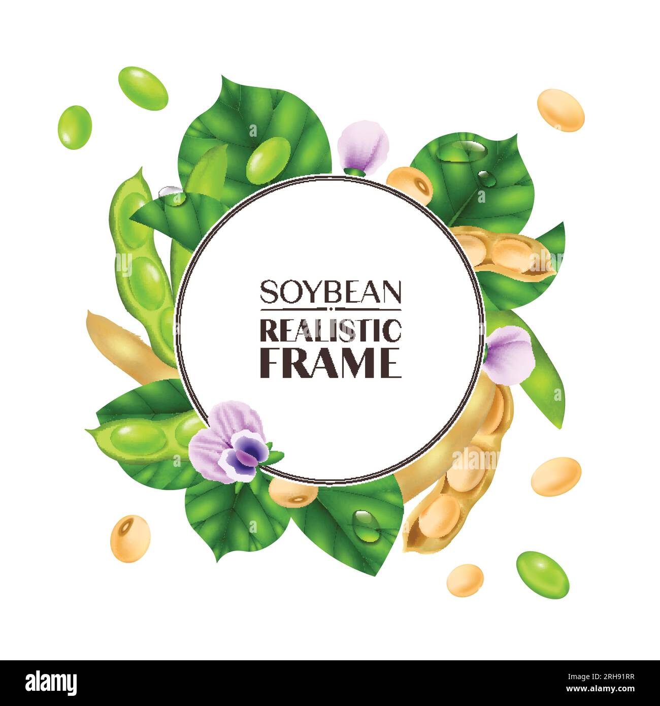 Realistic soybean frame with green white beans and flowers vector ...