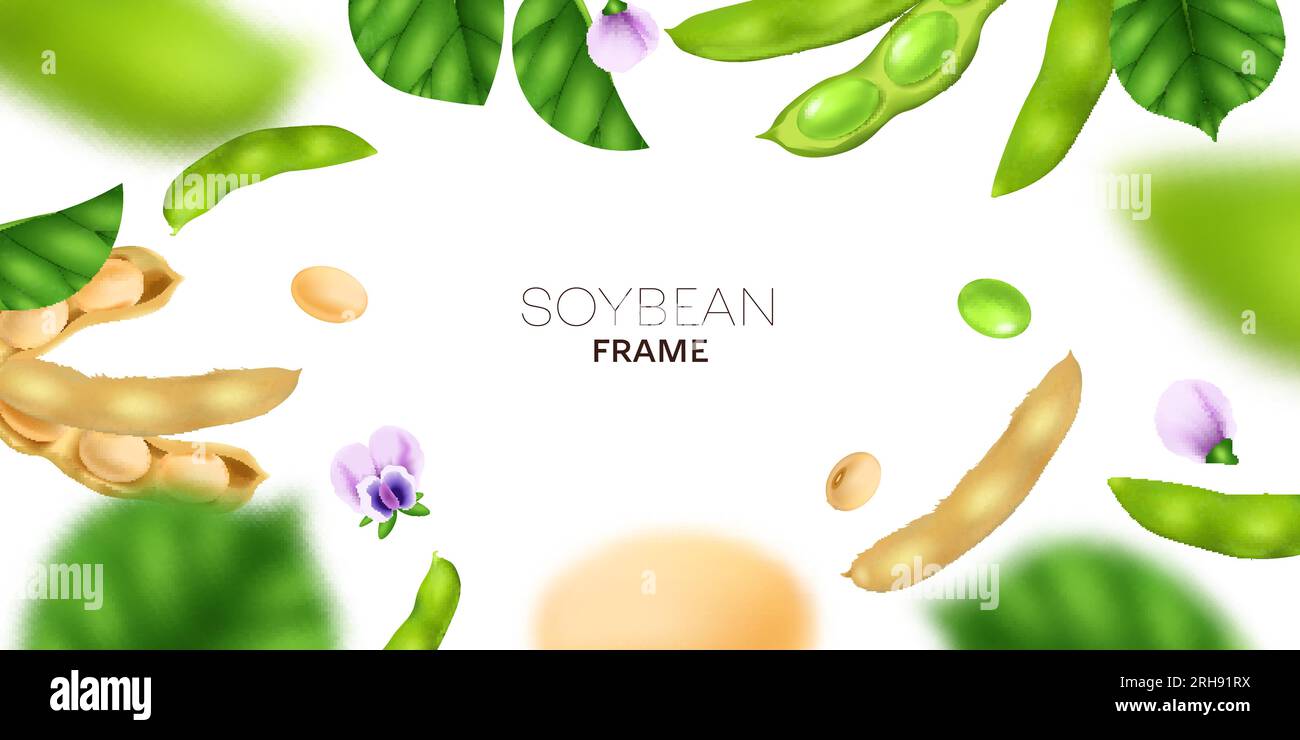 Realistic soybean frame with green and white soy beans and flowers ...