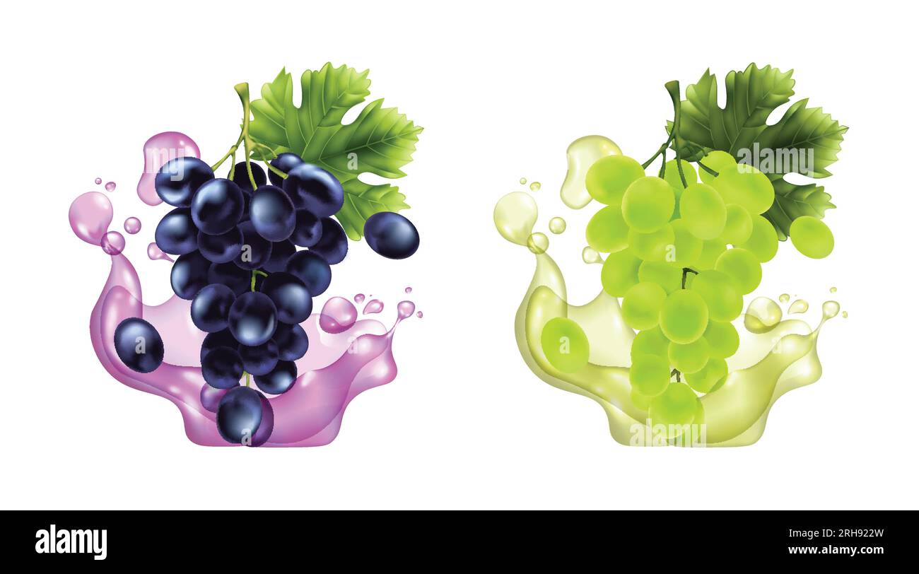 Realistic grape brunches icons set with juice splashes isolated vector ...