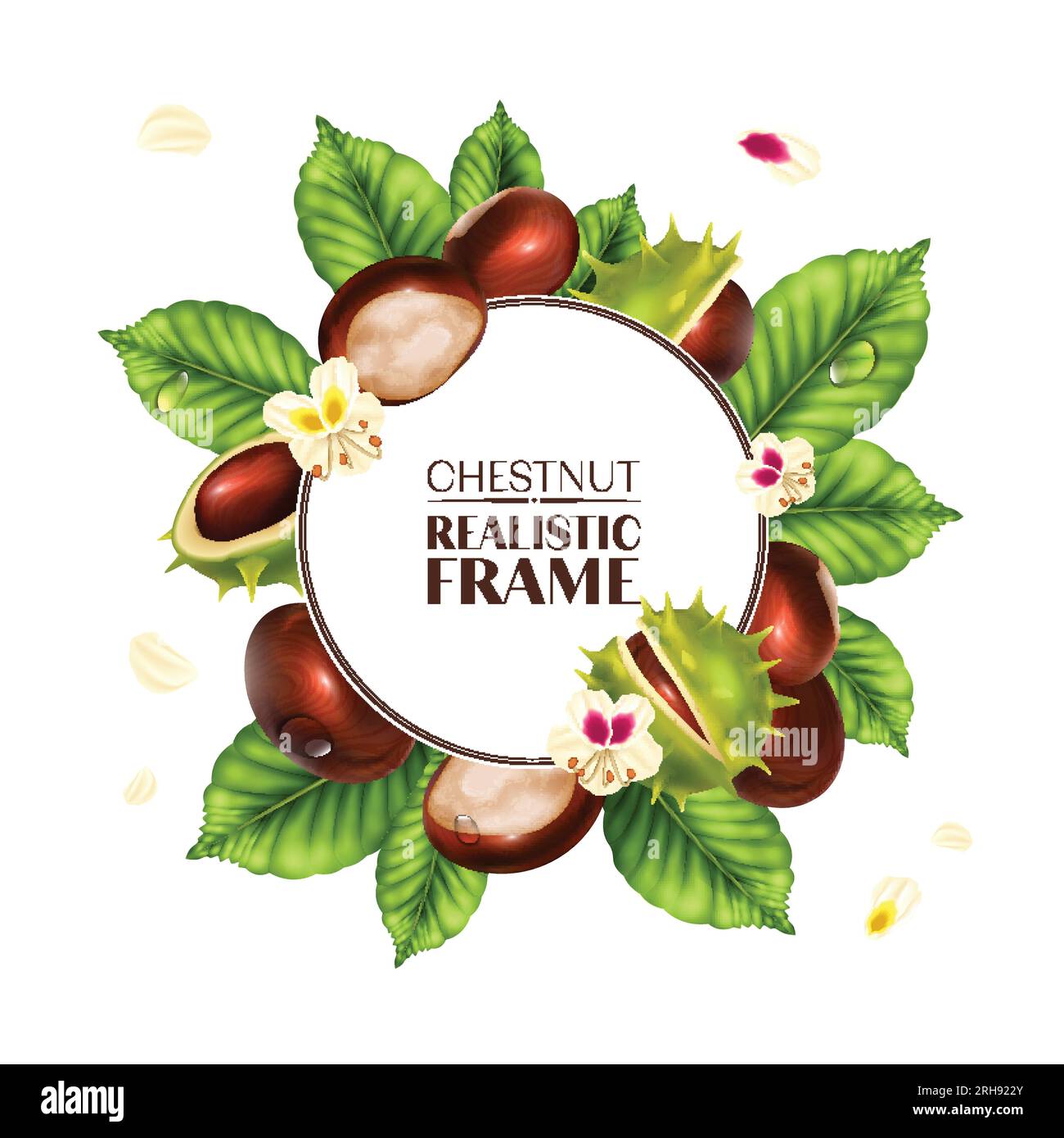 Realistic chestnut frame with organic nuts leaves and flowers vector ...