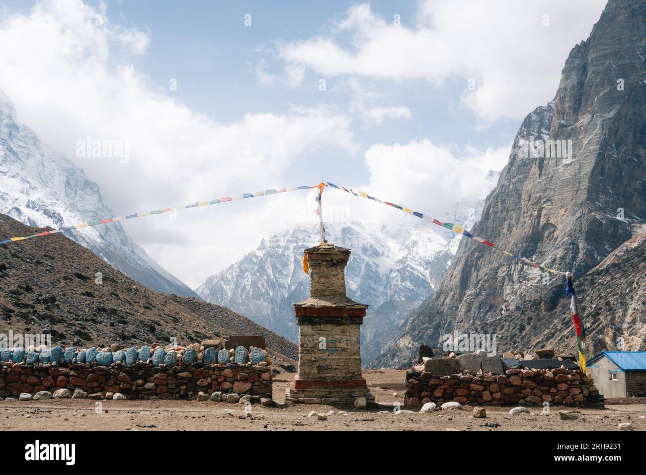 Professionalphoto hi-res stock photography and images - Alamy