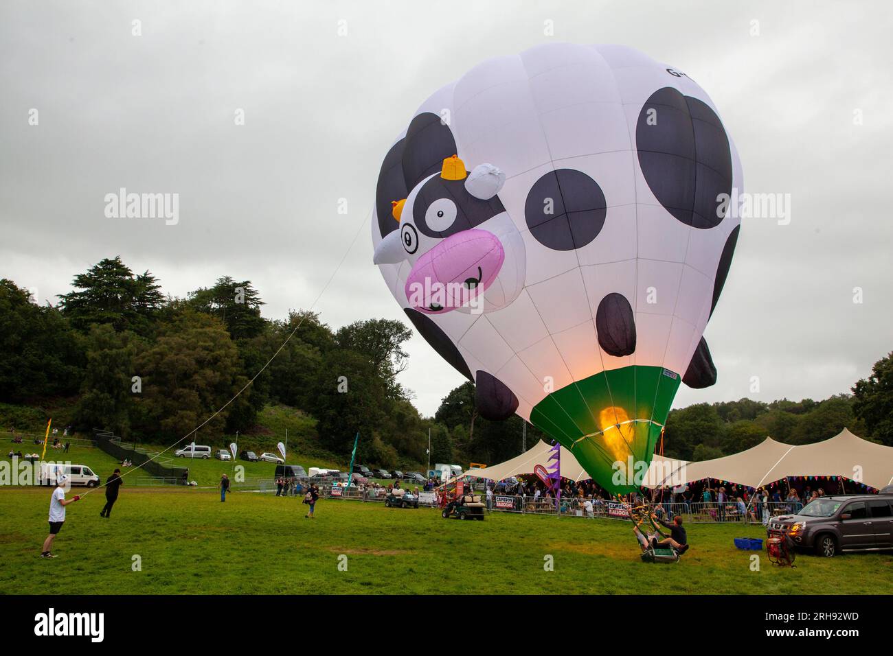 Cow Balloon during Bristol International Balloon Fiesta Stock Photo - Alamy