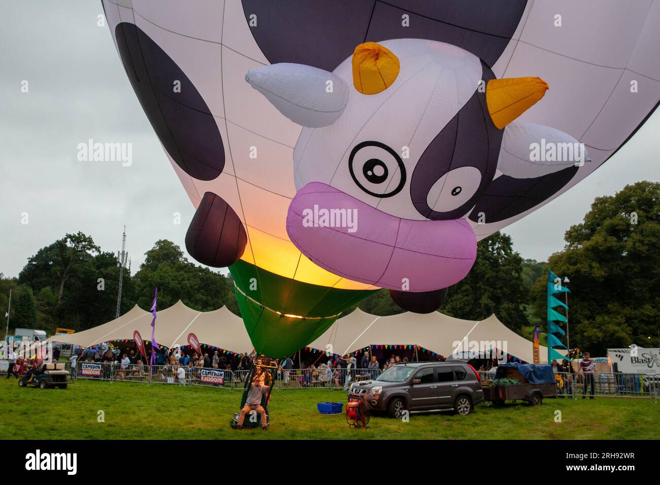 Cow balloon hi-res stock photography and images - Alamy