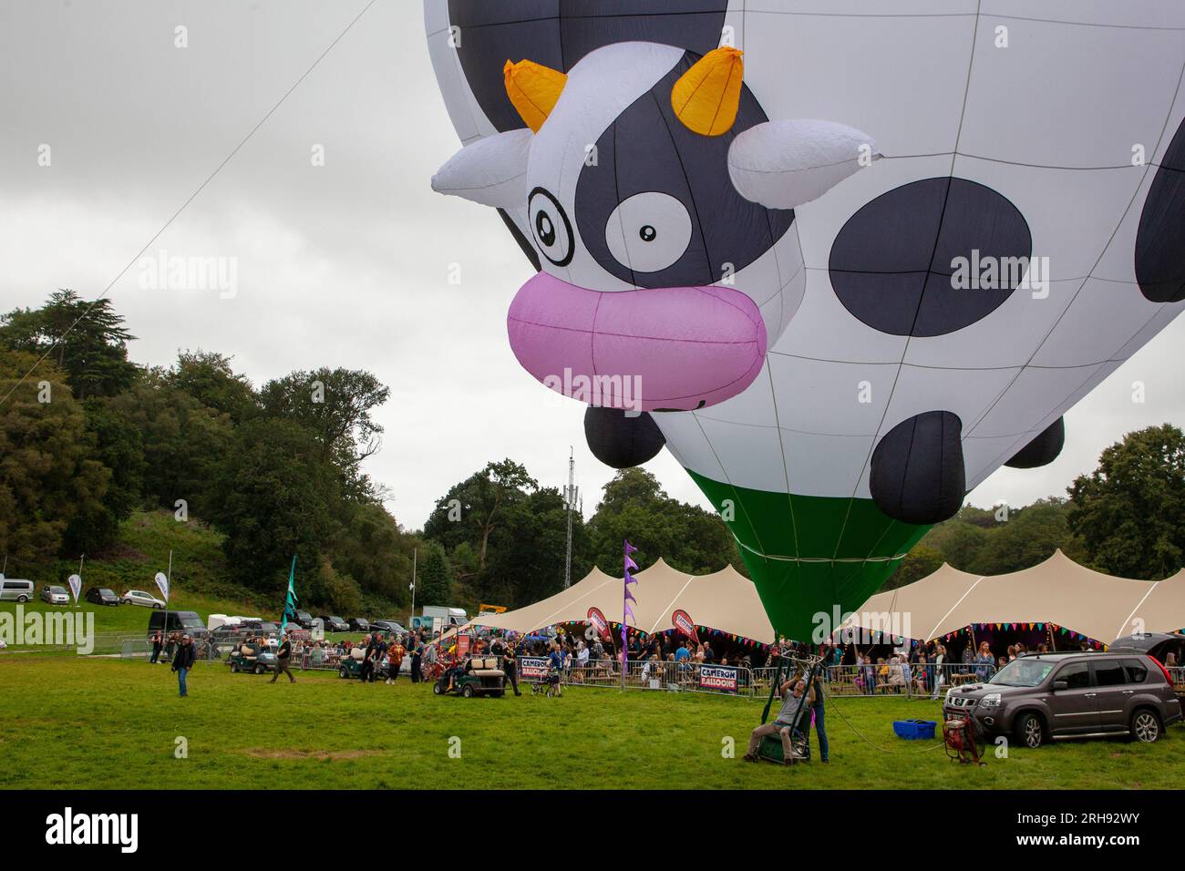 Cow balloon hi-res stock photography and images - Alamy