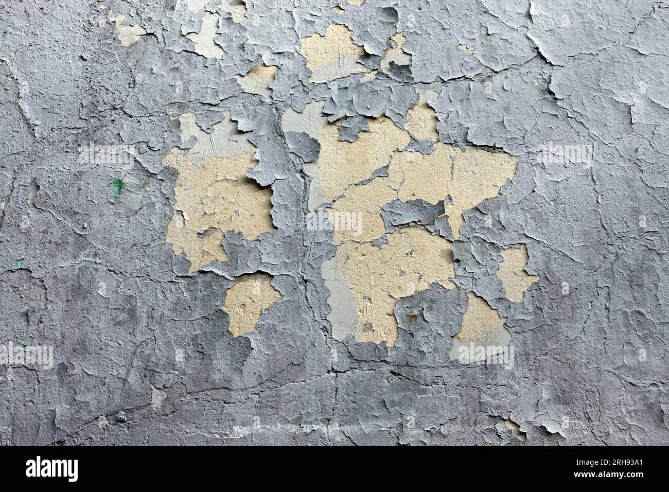 Scratched uneven wall painted surface with damaged gray plaster as ...