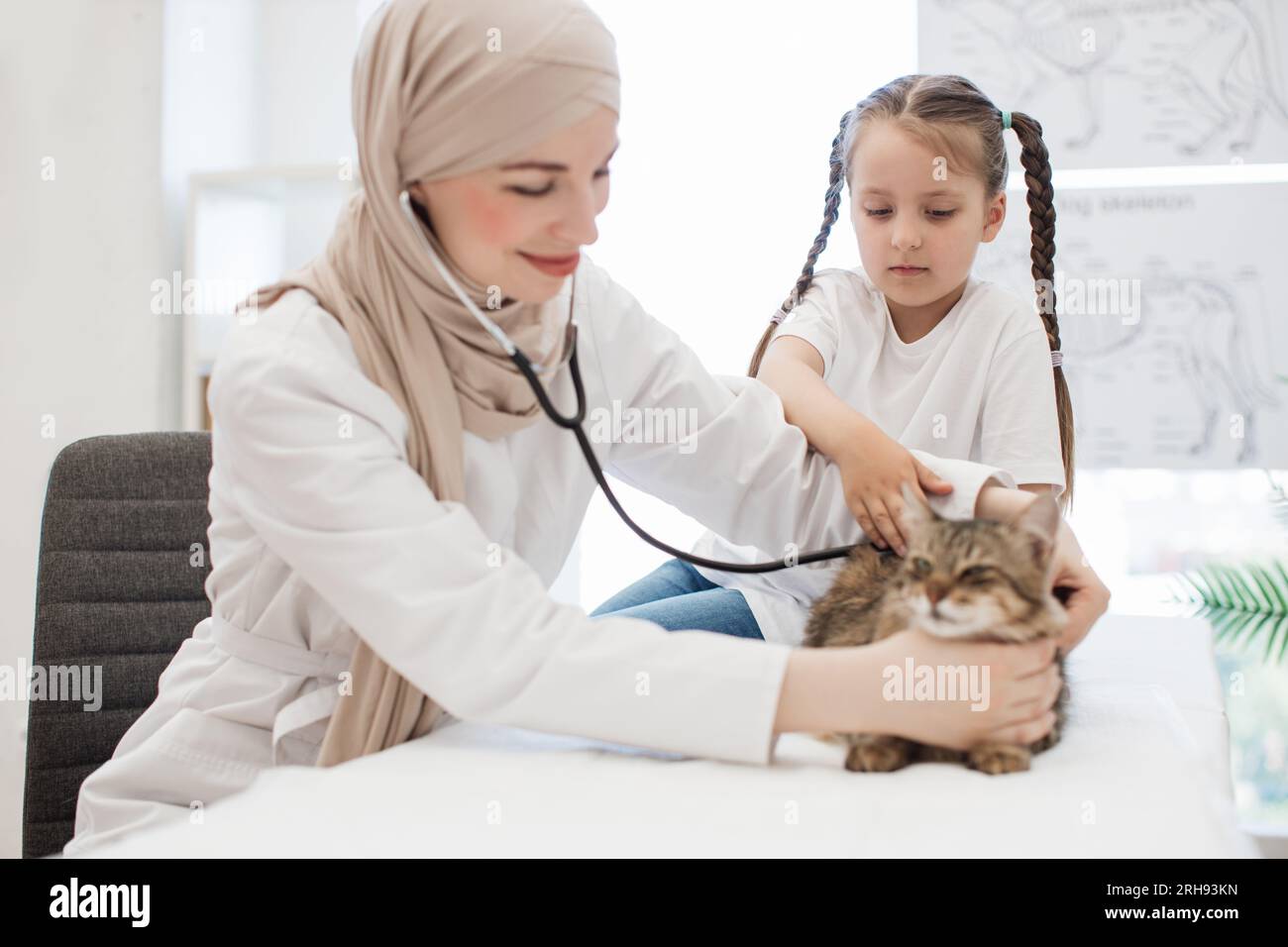 Little pet owner helping vet to listen cat with stethoscope Stock Photo ...