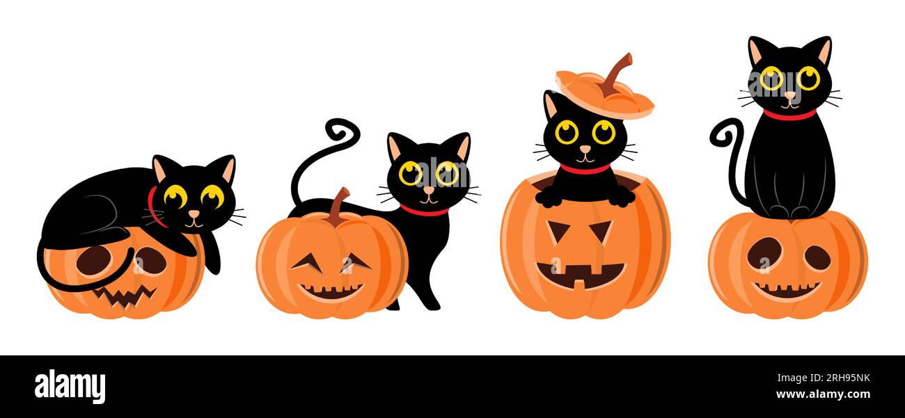 Set of cute black cat and carved pumpkin . Halloween concept . Vector ...