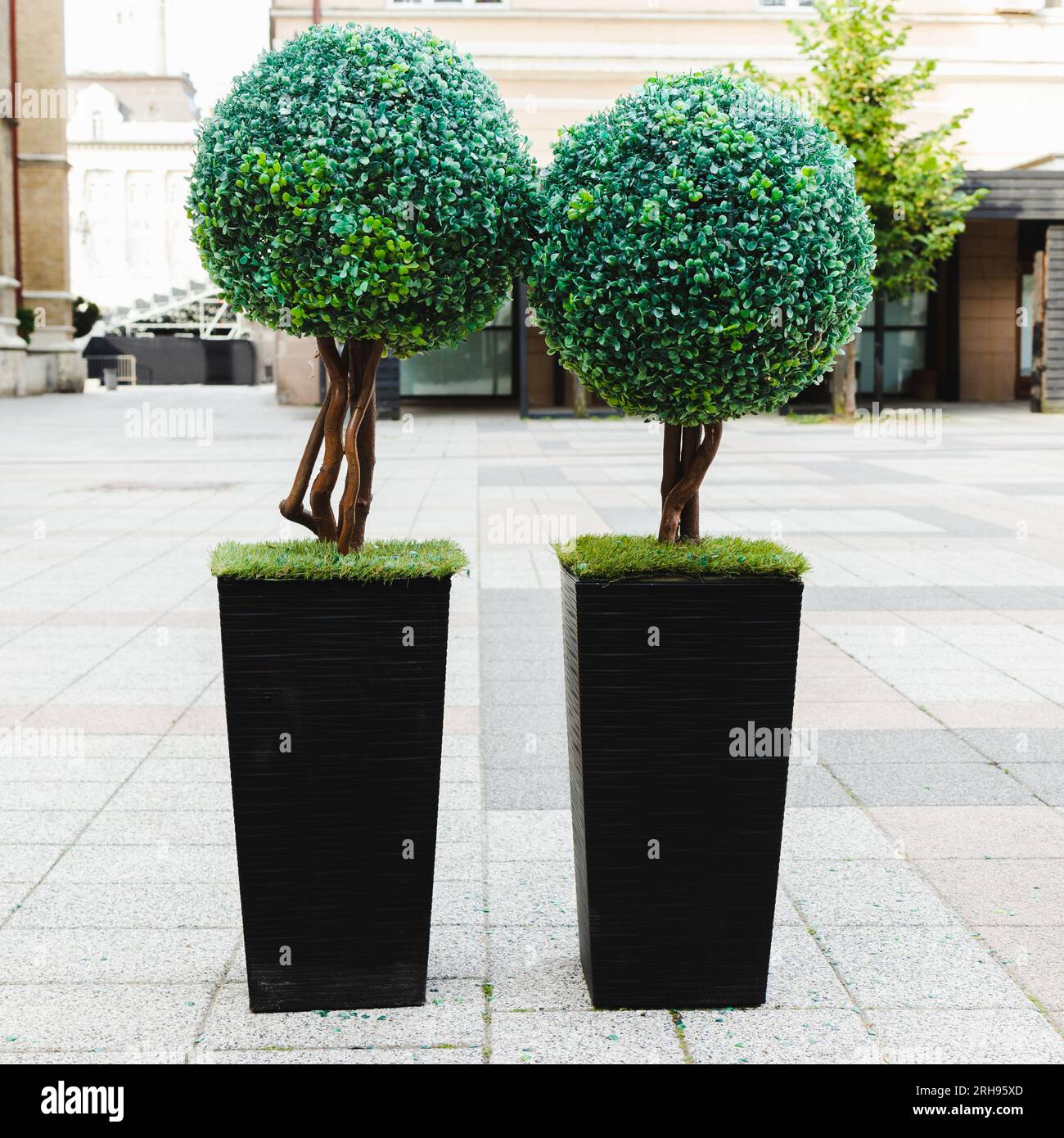 artificial plants trees in pots for decoration street and yards Stock ...