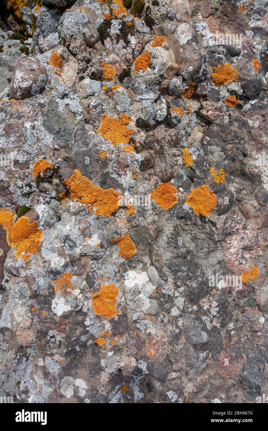 Pebbles rocks crack geology hi-res stock photography and images - Alamy