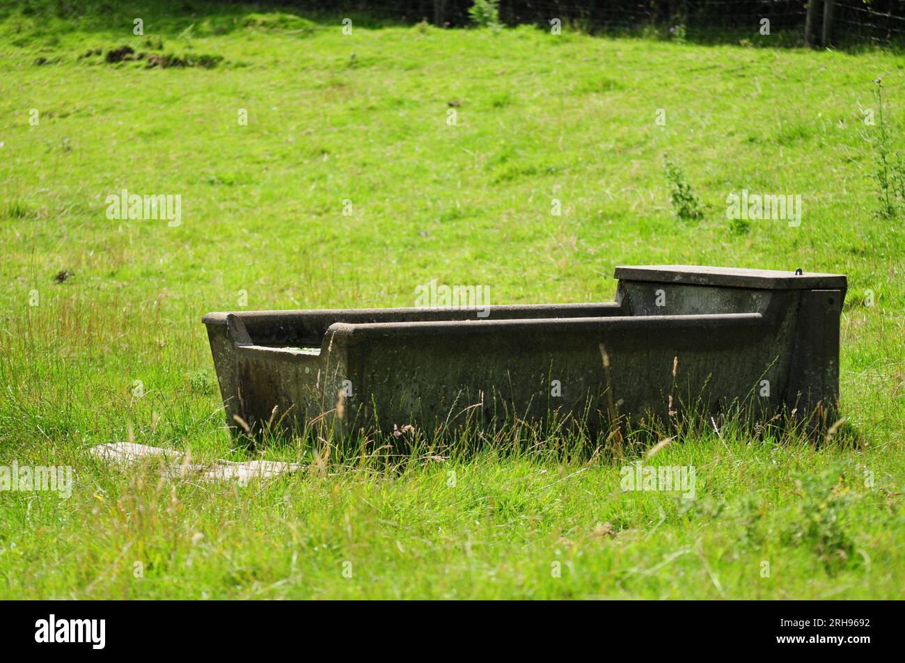 Farm water trough hi-res stock photography and images - Alamy