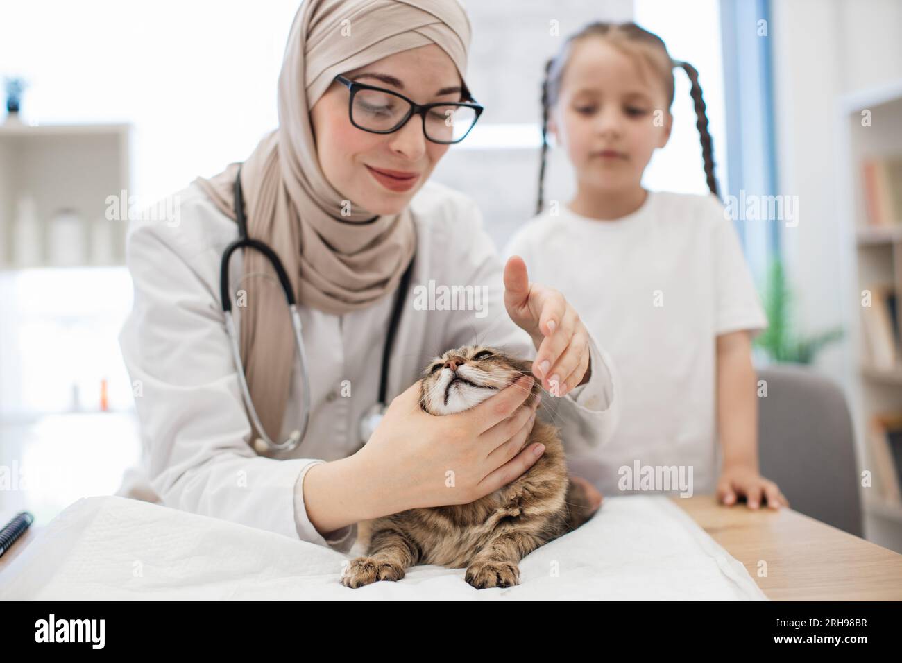 Animal doctor testing cat's eyes with tween guardian behind Stock Photo ...