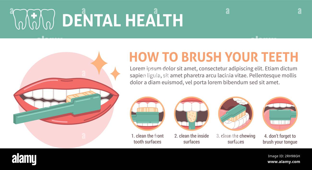 Dental health flat infographics with teeth brushing scheme vector ...