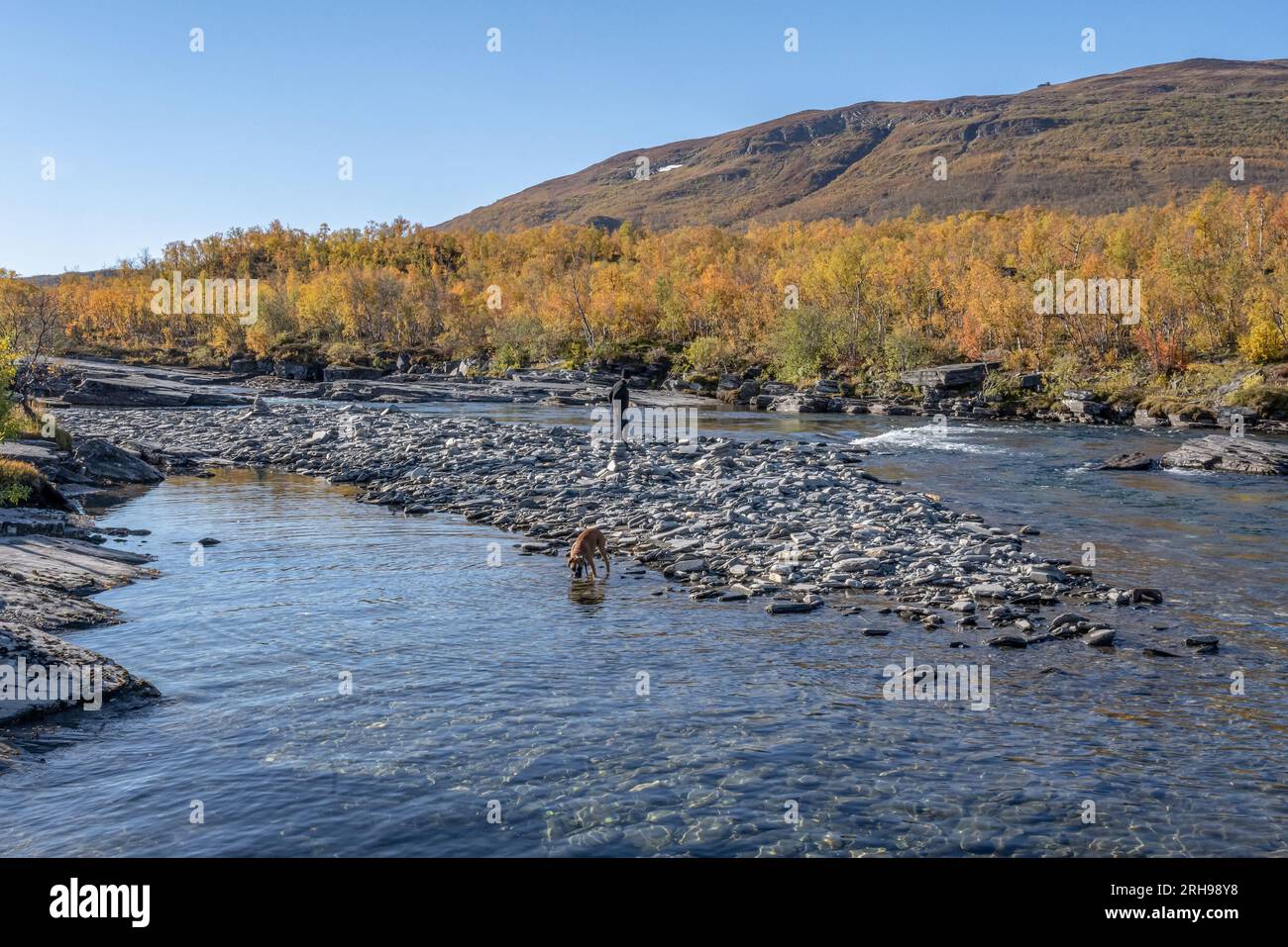 Sweden canyon rural river hi-res stock photography and images - Alamy