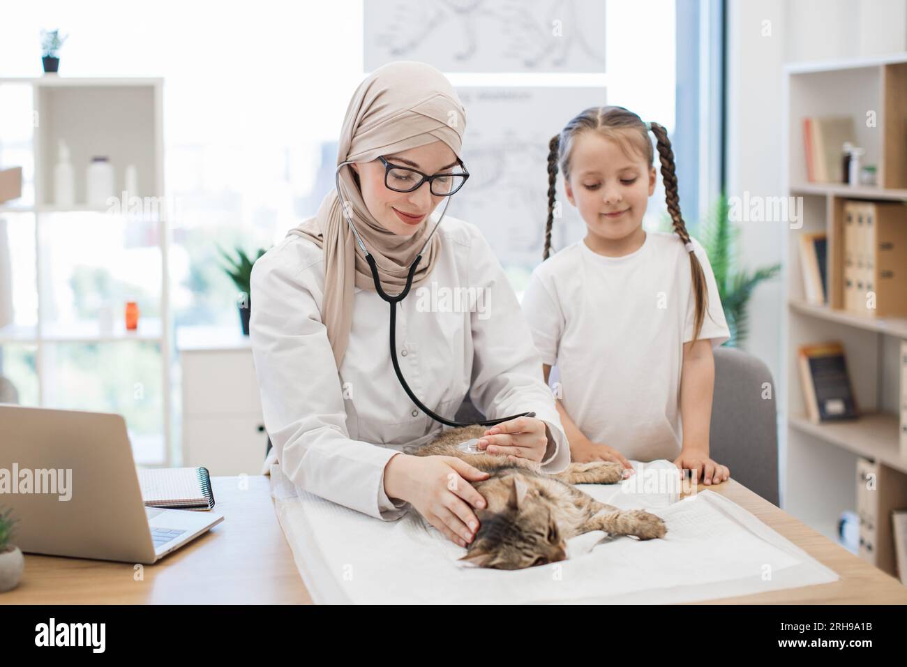 Woman in hijab observing cat while girl distracting animal Stock Photo ...