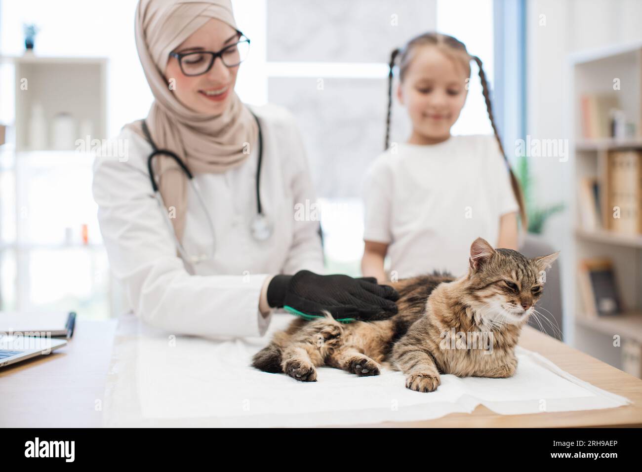 Vet and child brushing cat with gentle glove for shedding Stock Photo ...