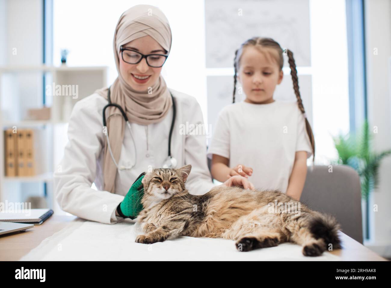 Pet relaxing during grooming procedure done by vet and owner Stock ...