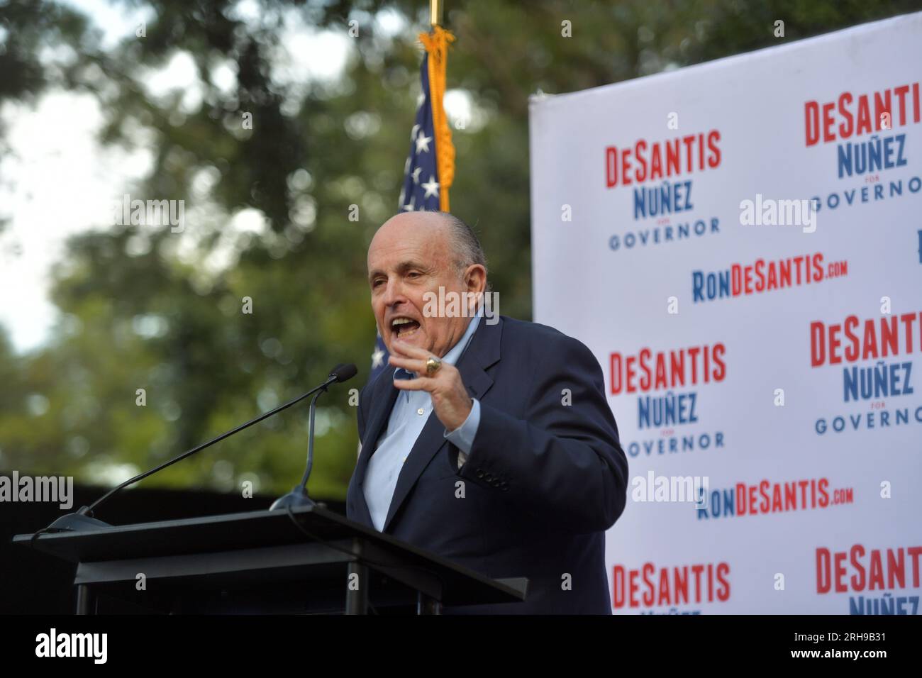 Case bondi hi-res stock photography and images - Alamy