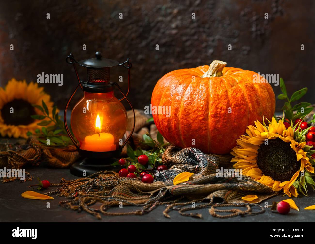 Still life with pumpkin hi-res stock photography and images - Alamy