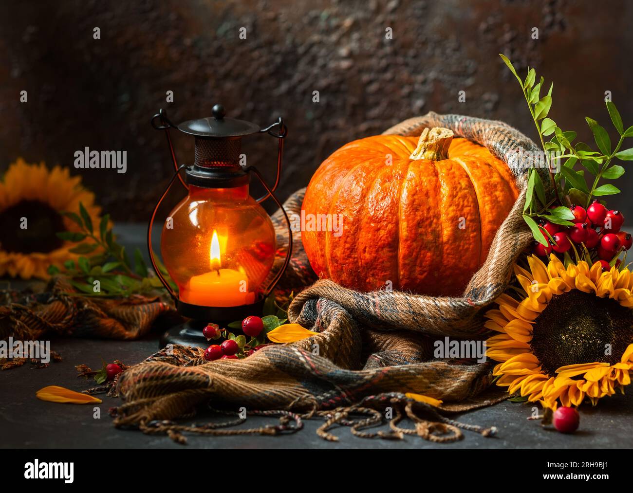 Still life with pumpkin hi-res stock photography and images - Alamy