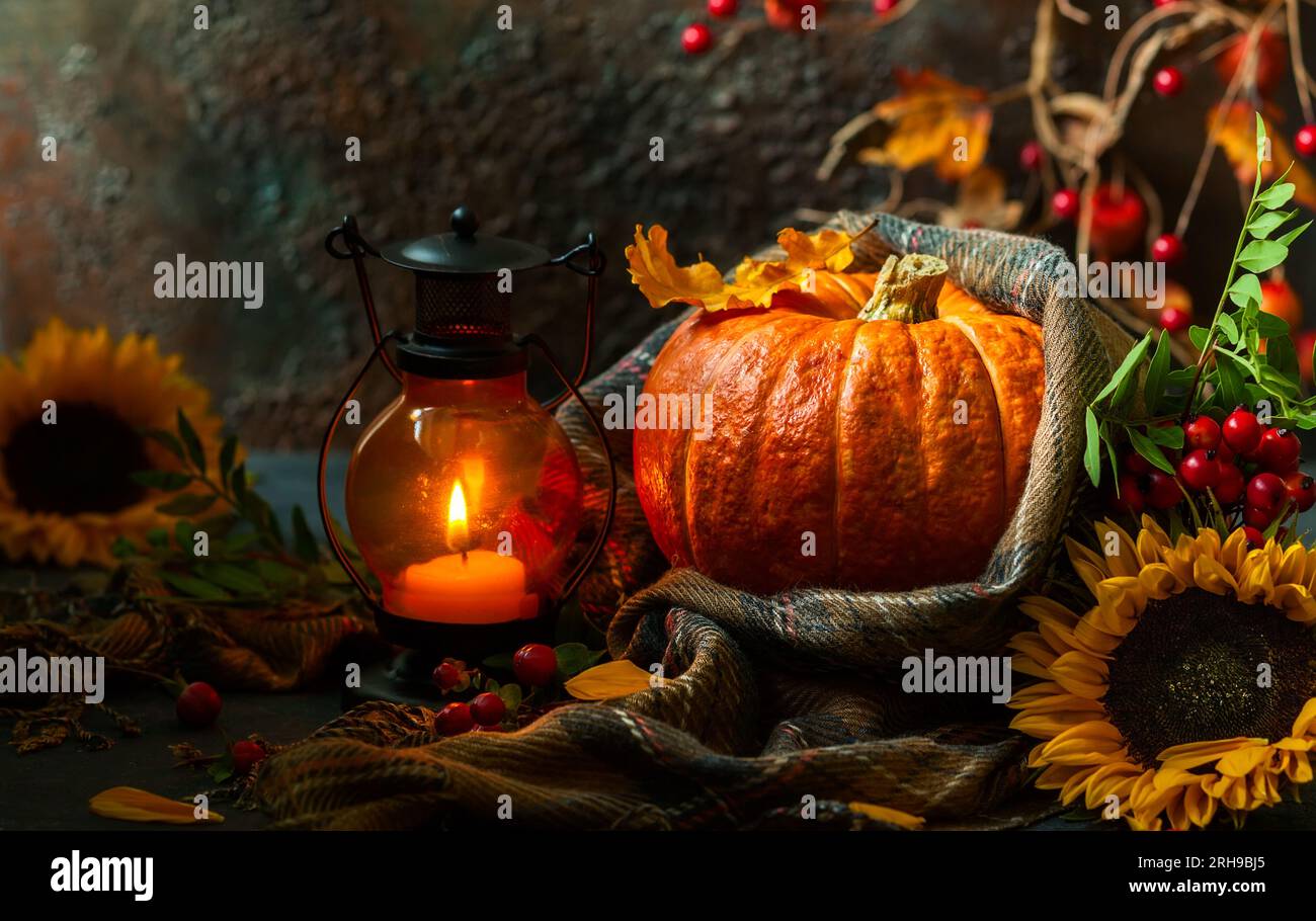 Still life with pumpkin hi-res stock photography and images - Alamy