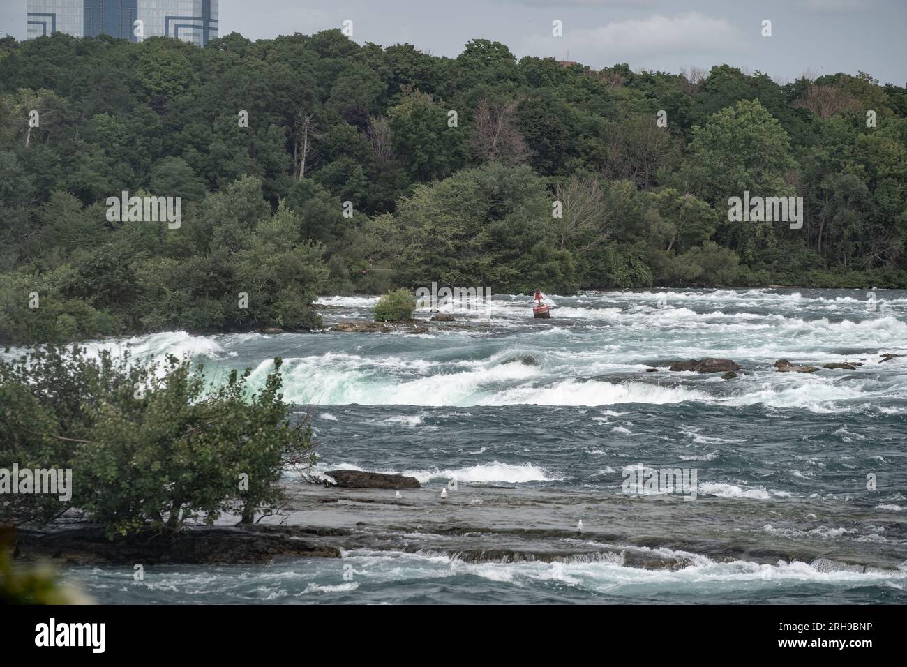 scenes from around Niagra Falls, taken from the Canadian side and ...