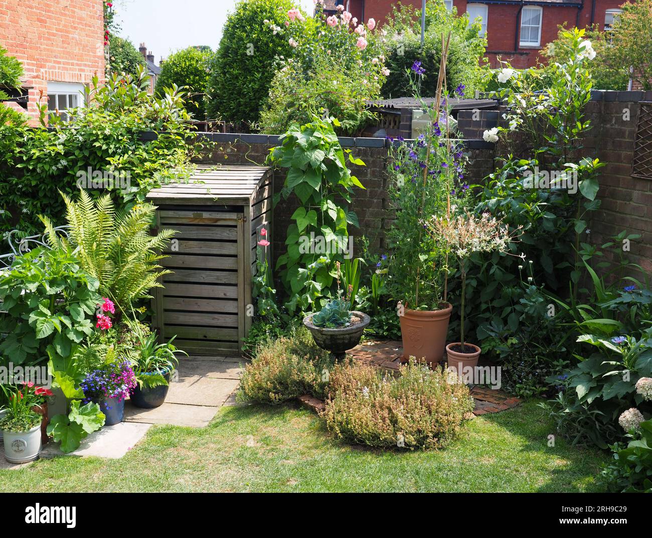 Back corner of garden hi-res stock photography and images - Alamy