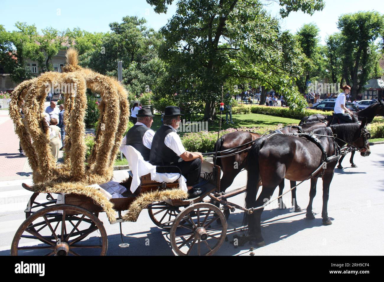 Horses pull the crown Stock Photo - Alamy