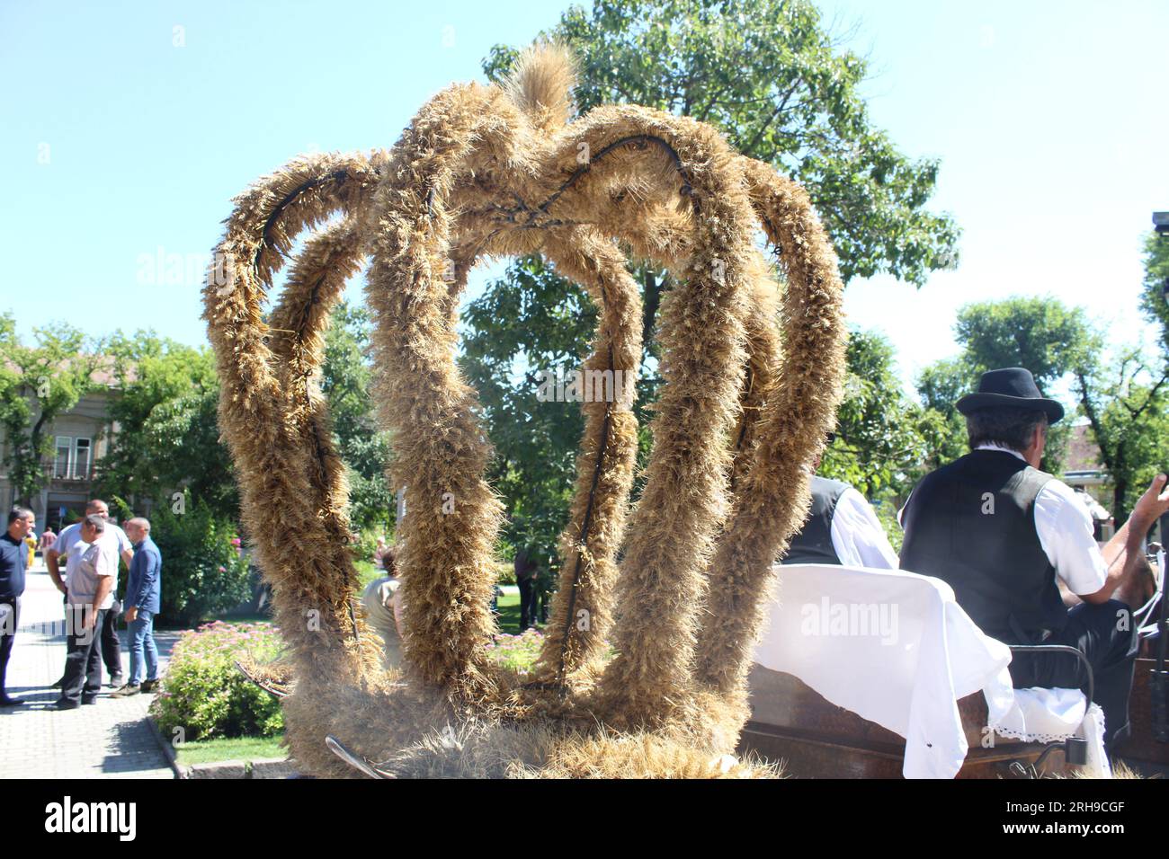 Big crown of wheat Stock Photo - Alamy