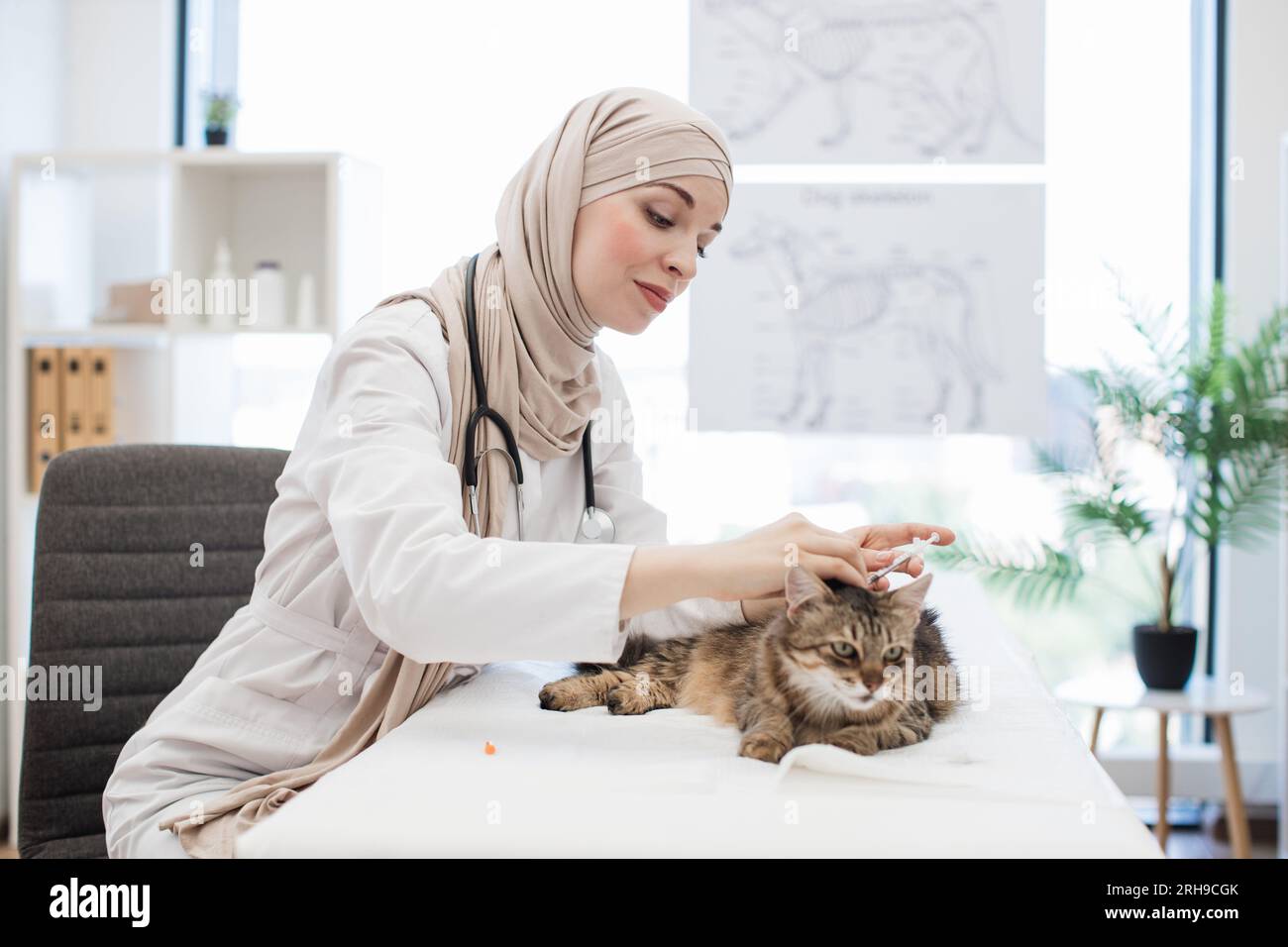 Inoculation procedure hi-res stock photography and images - Alamy