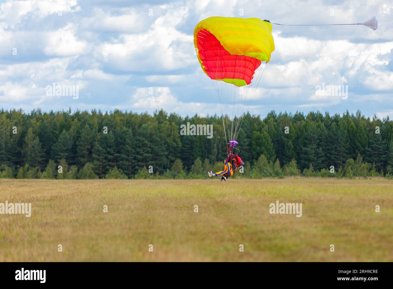 Landing skydivers-athletes with a parachute on the ground. Kirzhach ...