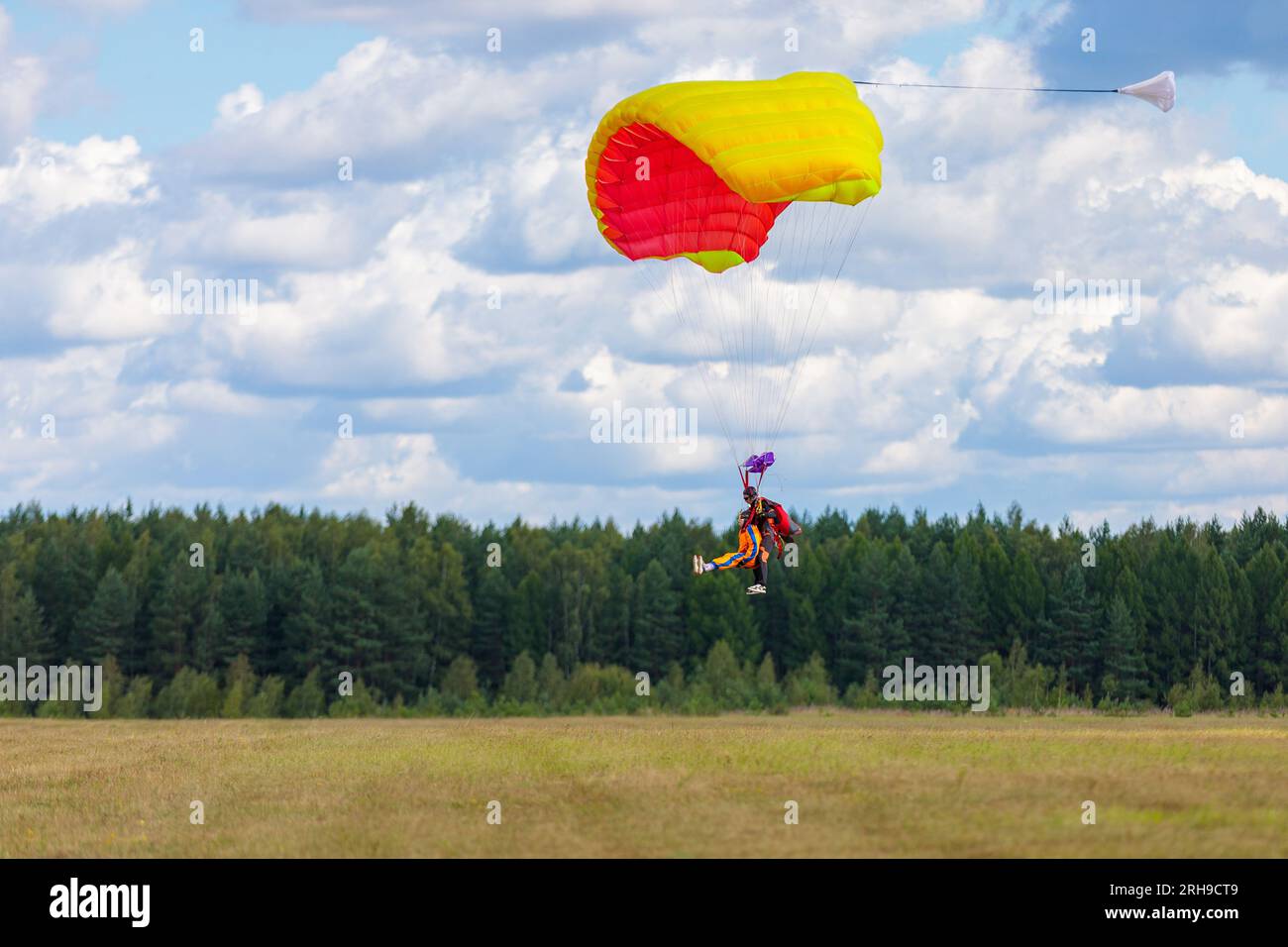 Landing skydivers-athletes with a parachute on the ground. Kirzhach ...