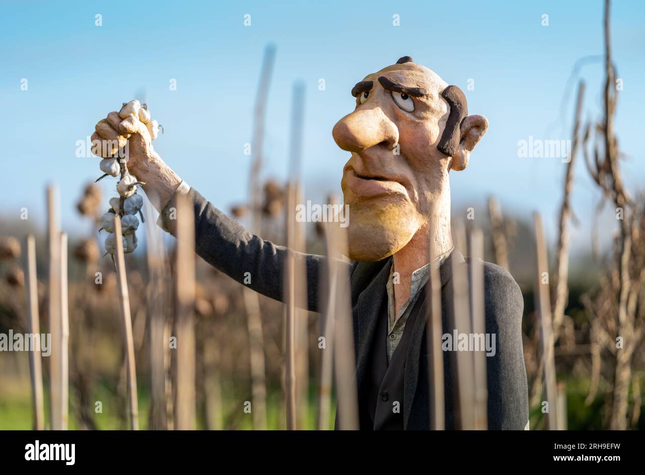 strange scarecrow man head snf shoulders standing in allotment behind ...