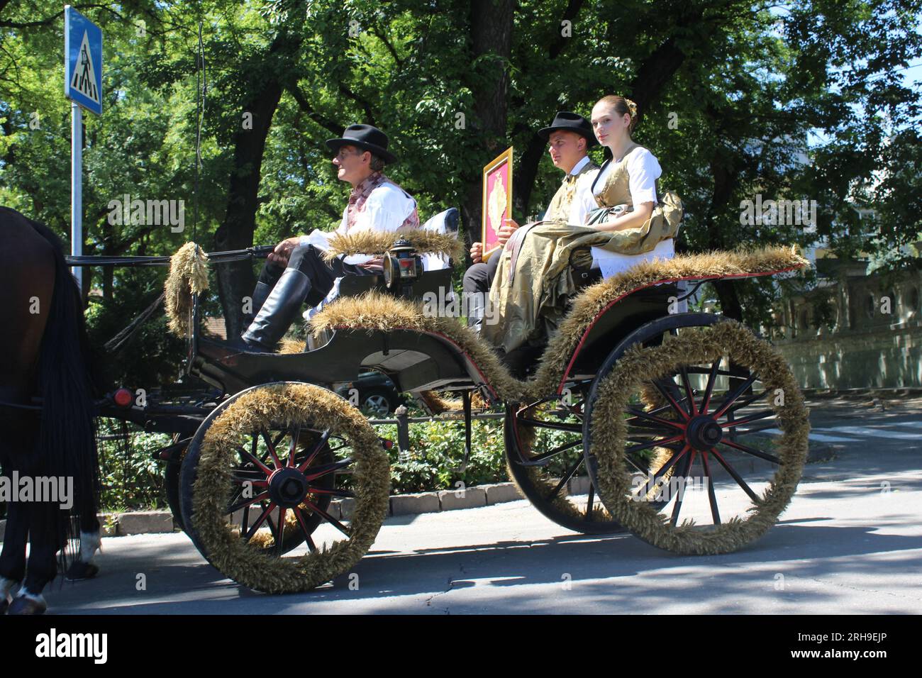 Horse-drawn carriage decorated with wheat Stock Photo - Alamy