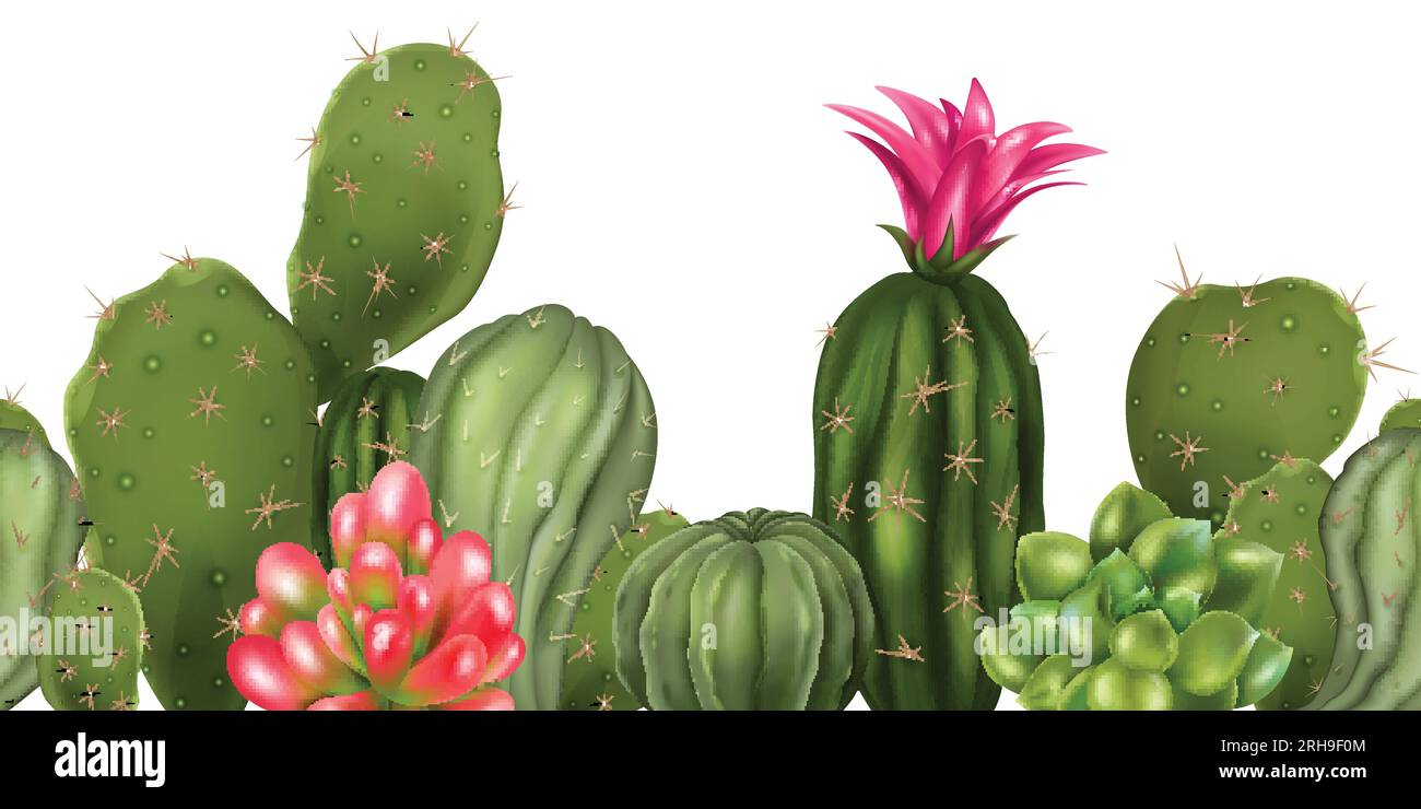 Realistic cactus seamless composition of horizontal pattern with ...