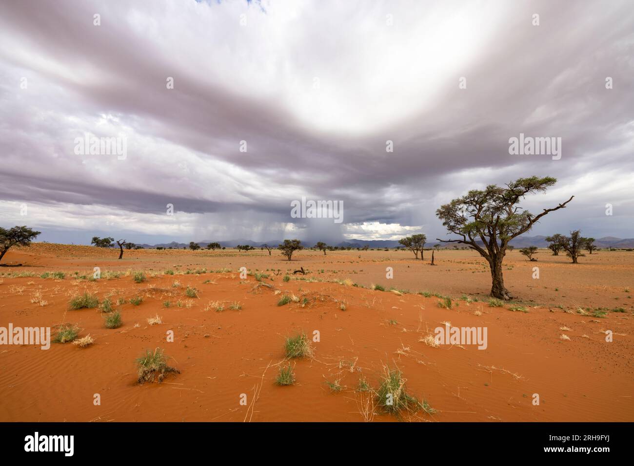 Rain fall in the Namib Desert Namibia Stock Photo - Alamy