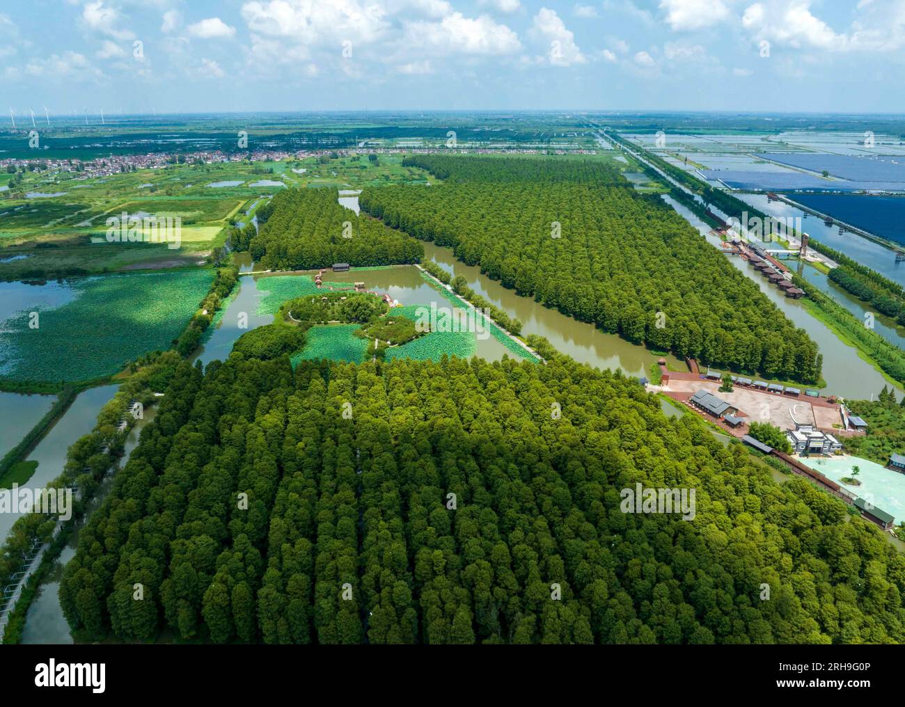 XINGHUA, CHINA - AUGUST 15, 2023 - Ecological beauty of Lixiahe ...