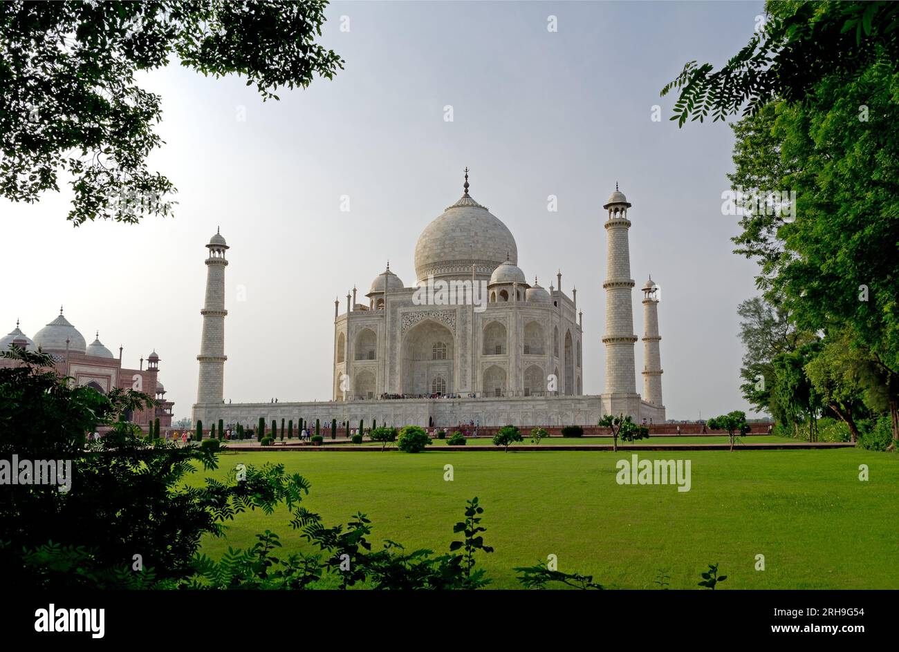 Unusual view of Taj Mahal through the green trees Stock Photo - Alamy