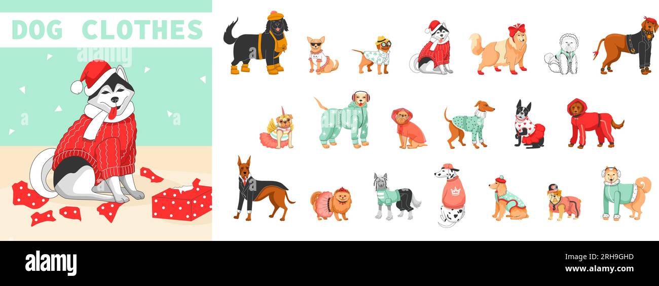 Dog clothes flat composition with set of different breed dogs in winter ...