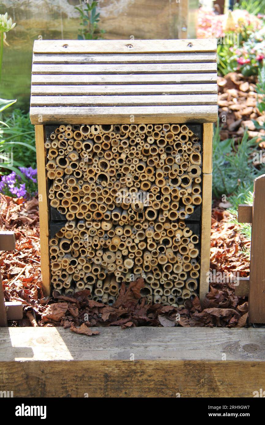 Animal of house hi-res stock photography and images - Alamy