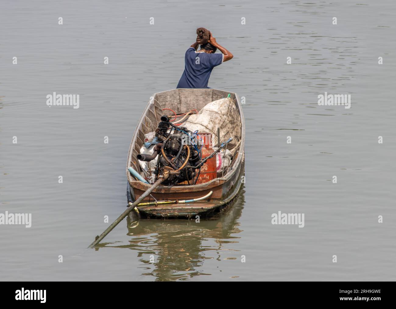 Long hair on tail hi-res stock photography and images - Alamy