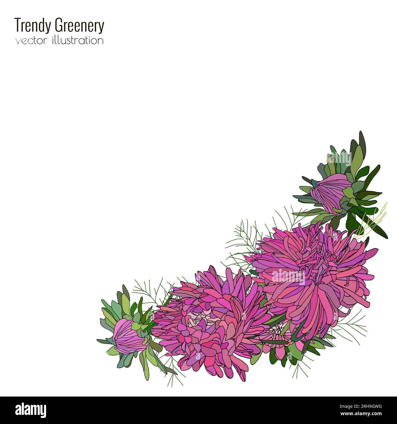 Vector hand drawn frame of asters flowers, daisies, green leaves ...